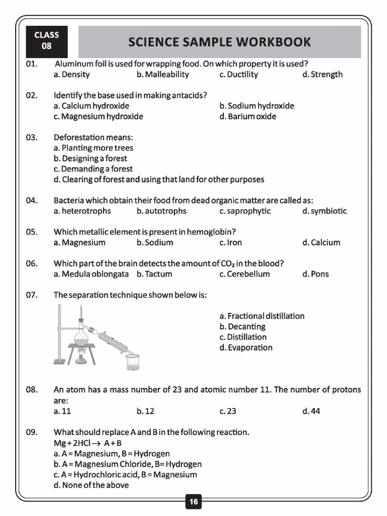 Science Class 8 WB | PDF