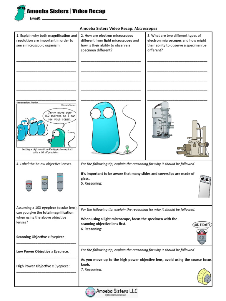 Microscopes by Amoeba | PDF | Glass Applications | Physical Sciences