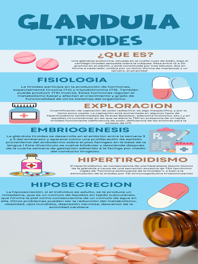 Tiroides: Funciones y Trastornos | PDF | Tiroides | Especialidades Medicas