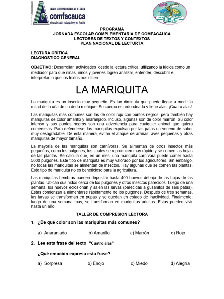 Prueba Diagnostica en Lectura y Escritura - Grado Quinto | PDF