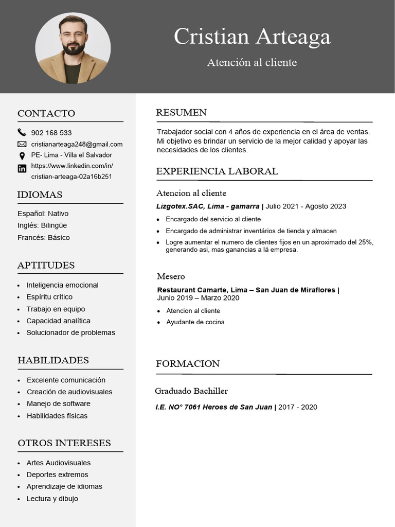 233 Curriculum Vitae Profesional para Trabajo | PDF