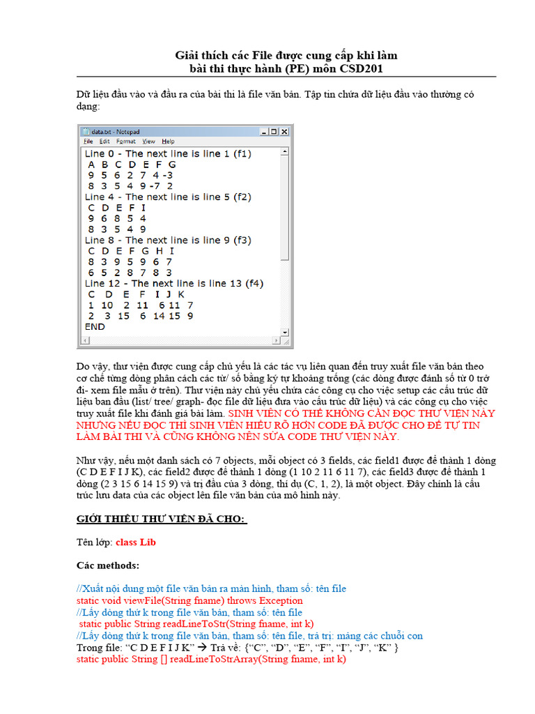 HuongDanThi PE CSD201 | PDF