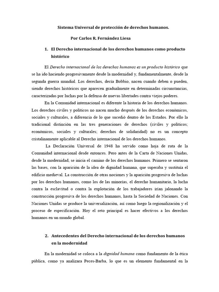 Lección. Sistemas DDHH | PDF