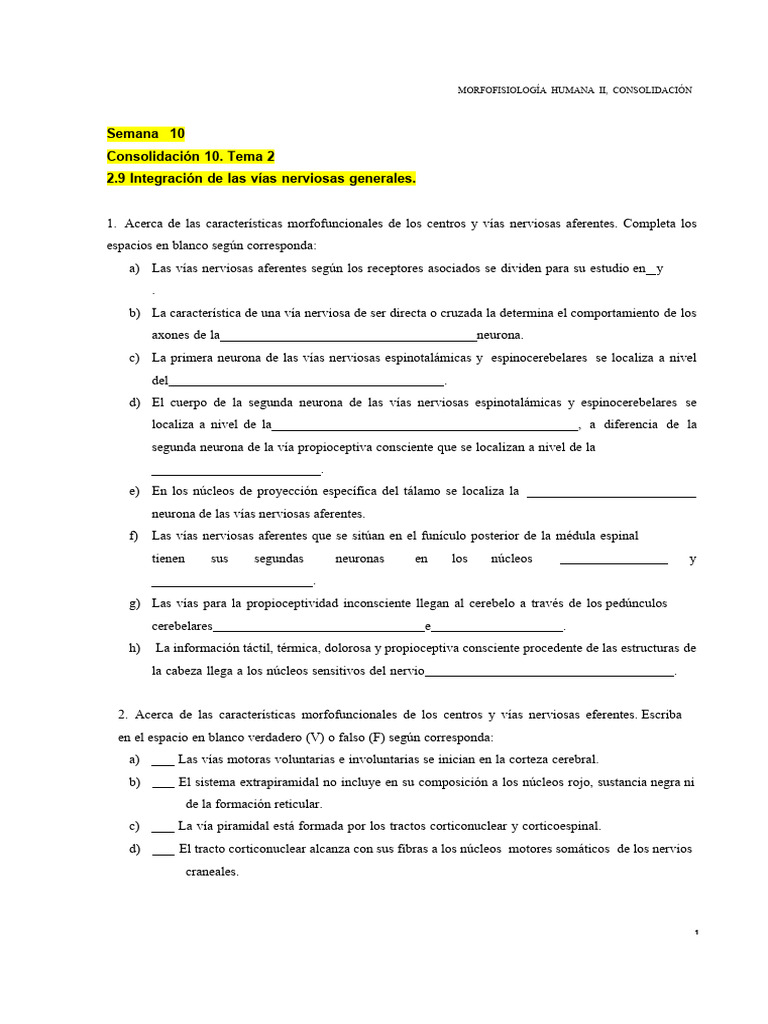 Consolidacion 10 Morfo 2 | PDF