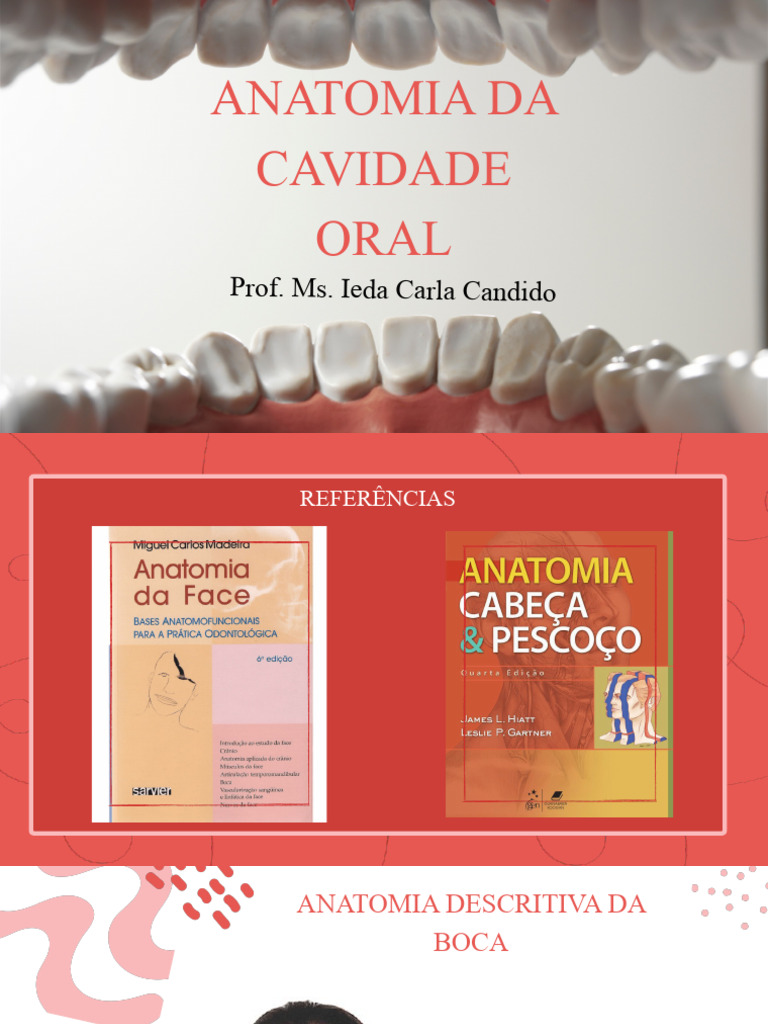 Anatomia Da Cavidade Oral | PDF