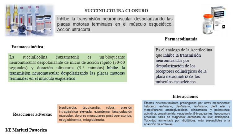 Succinilcolina: Acción y Efectos Adversos | PDF