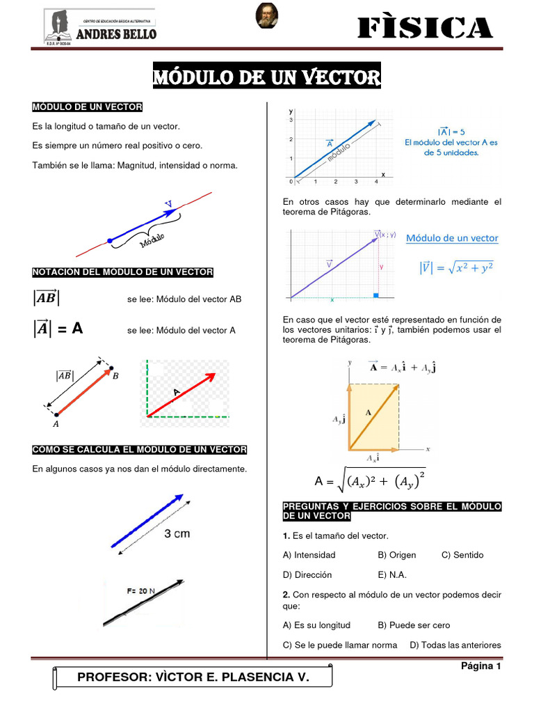 Módulo de Un Vector | PDF