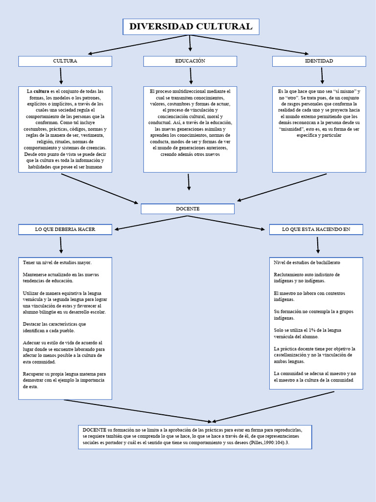 Mapa Conceptual de La Diversidad Cultural | PDF