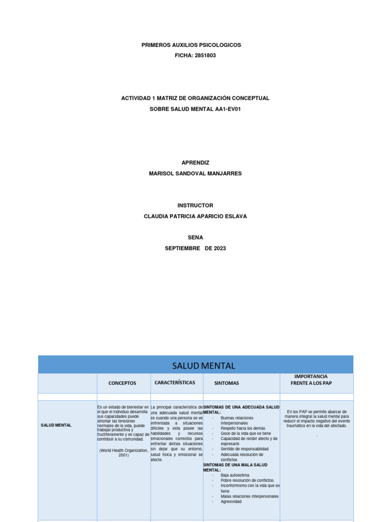 1 Matriz de Organización Conceptual - 1-3 | PDF
