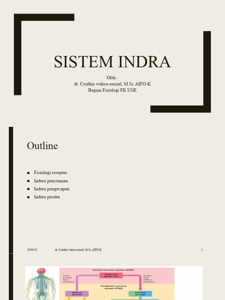 Fisiologi Indra: Penciuman dan Pengecapan | PDF | Sains & Matematika