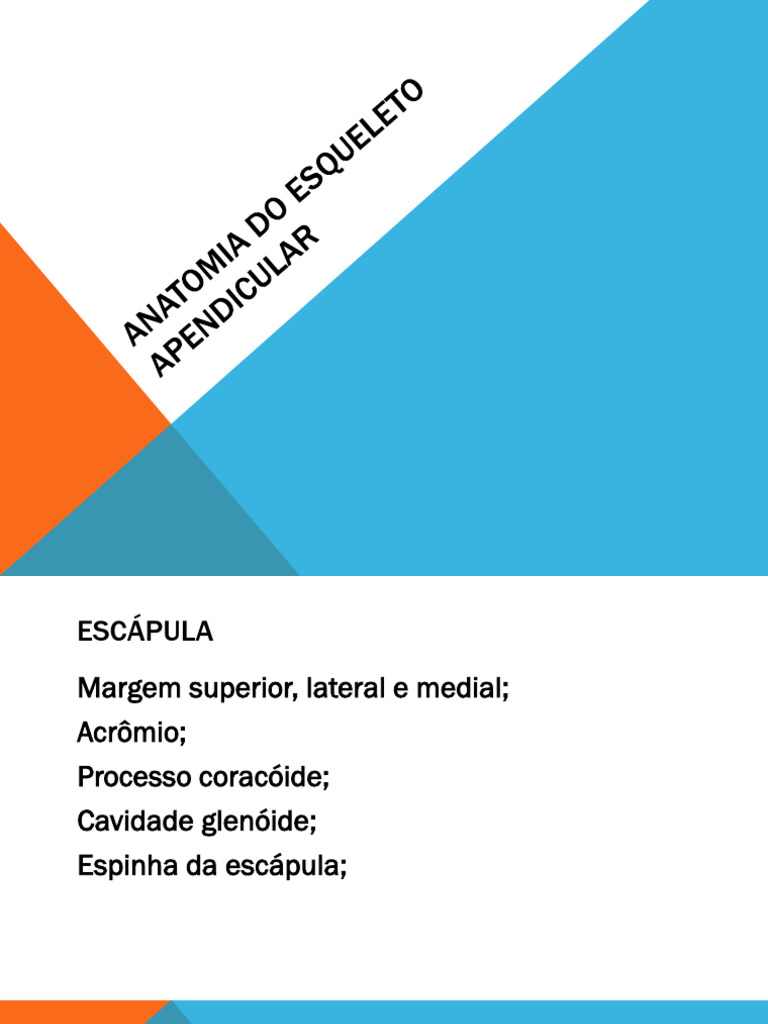 ANATOMIA DO ESQUELETO APENDICULAR | PDF | Osso | Pélvis