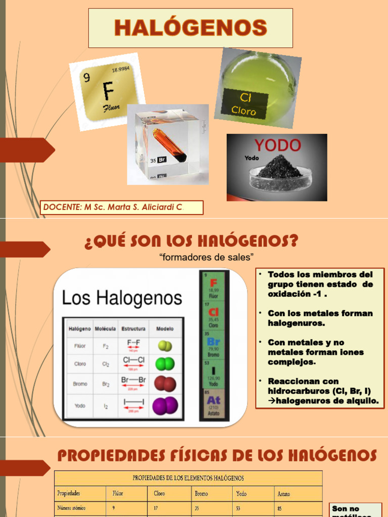 PRESENTACIÓN Nº5 HALOGENOS GRUPO VII A | PDF | Cloro | Compuestos químicos