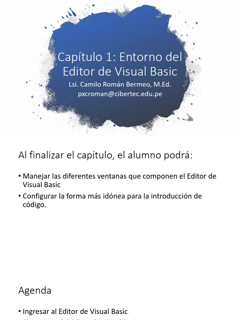 Capítulo 1 Entorno Del Editor de Visual Basic | PDF | Informática