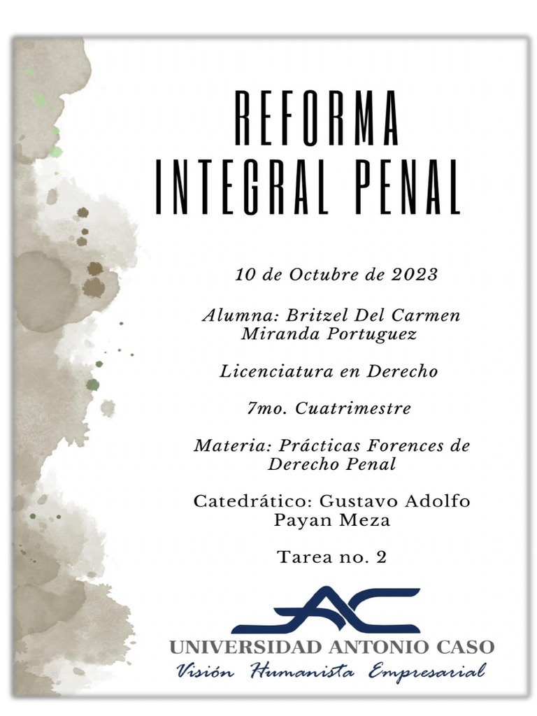 Practica Penal | PDF | Ciencias sociales | Derecho