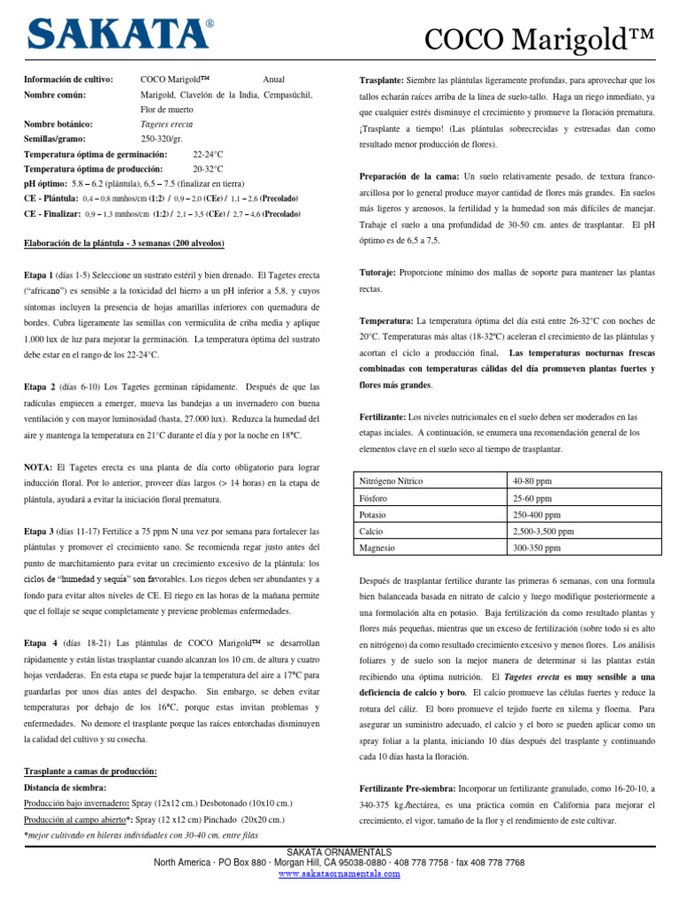 Marigold COCO Espanol 0921 SAKATA | PDF