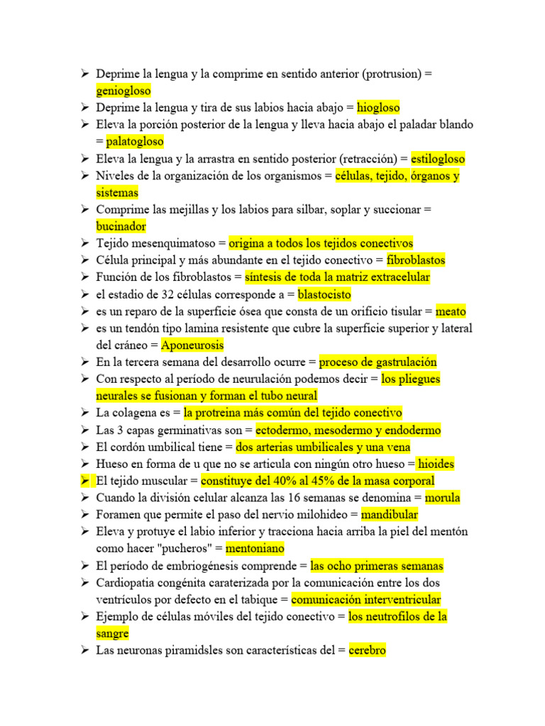 Resumen de Morfo | PDF