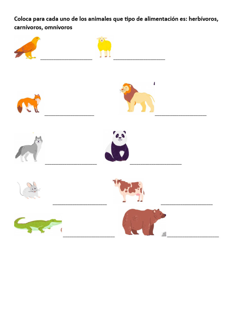 Herbívoros, Carnívoros, Omnívoros | PDF
