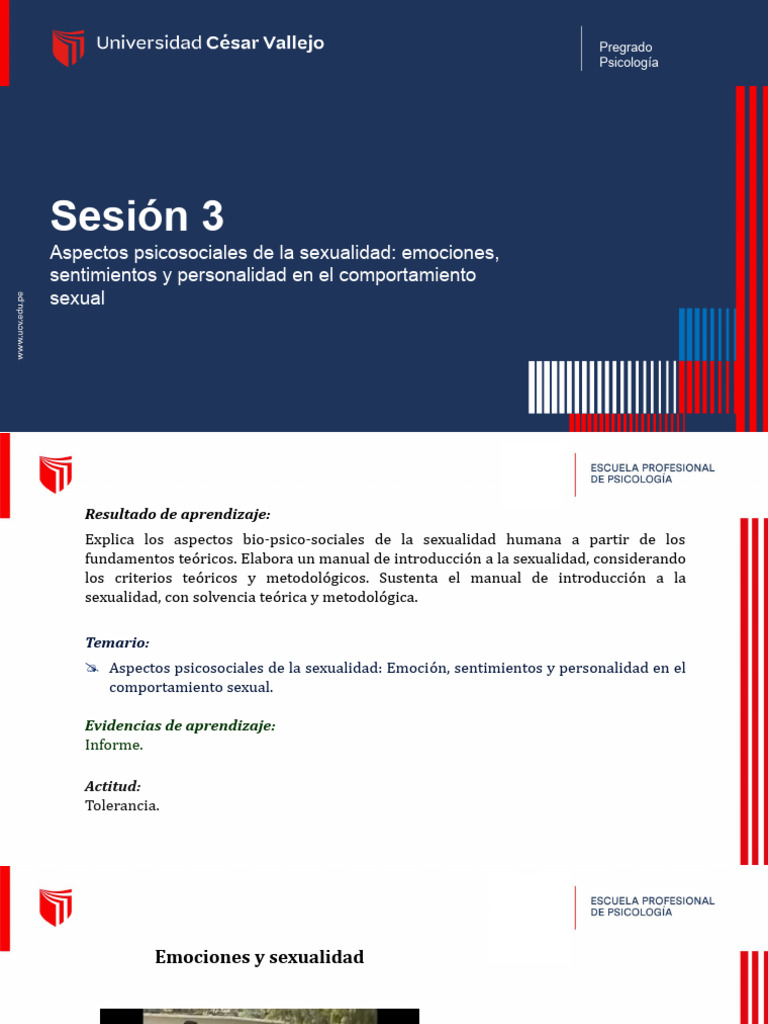 Clase 03 - Aspectos Psicosociales de La Sexualidad | PDF