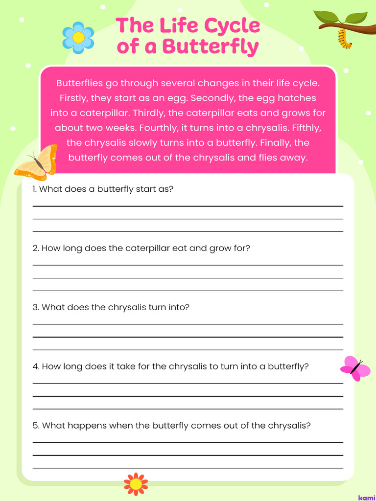 The Life Cycle of A Butterfly Reading Passage | PDF