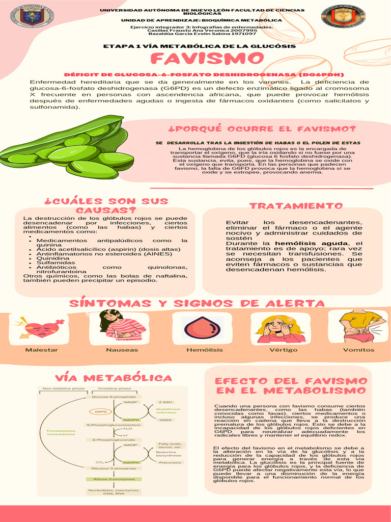 Ejercicio3 Infografias. | PDF