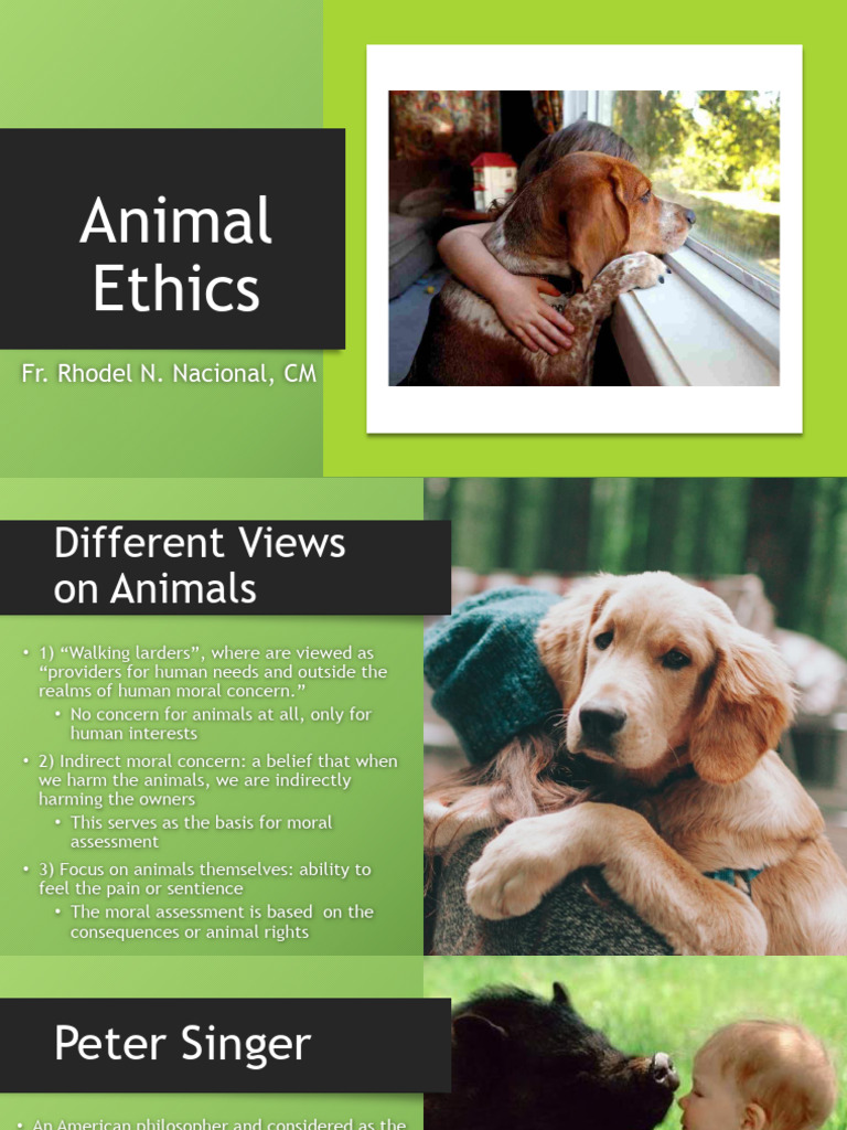 Animal Ethics | PDF
