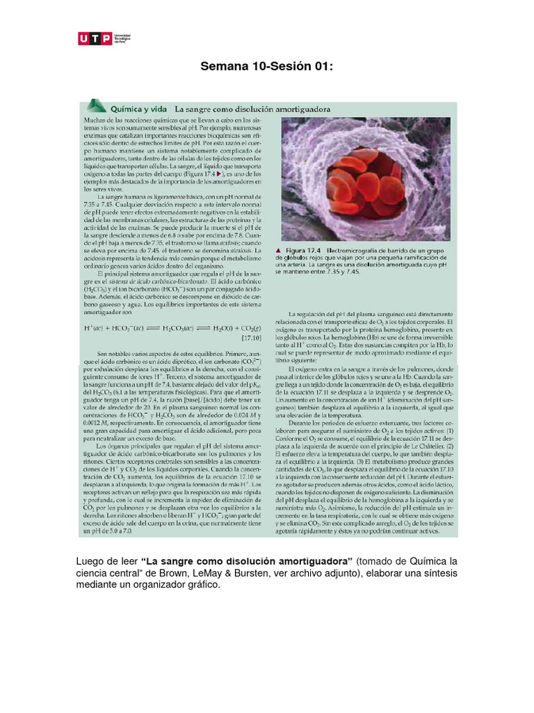 S10.s1 - Tarea Calificada | PDF