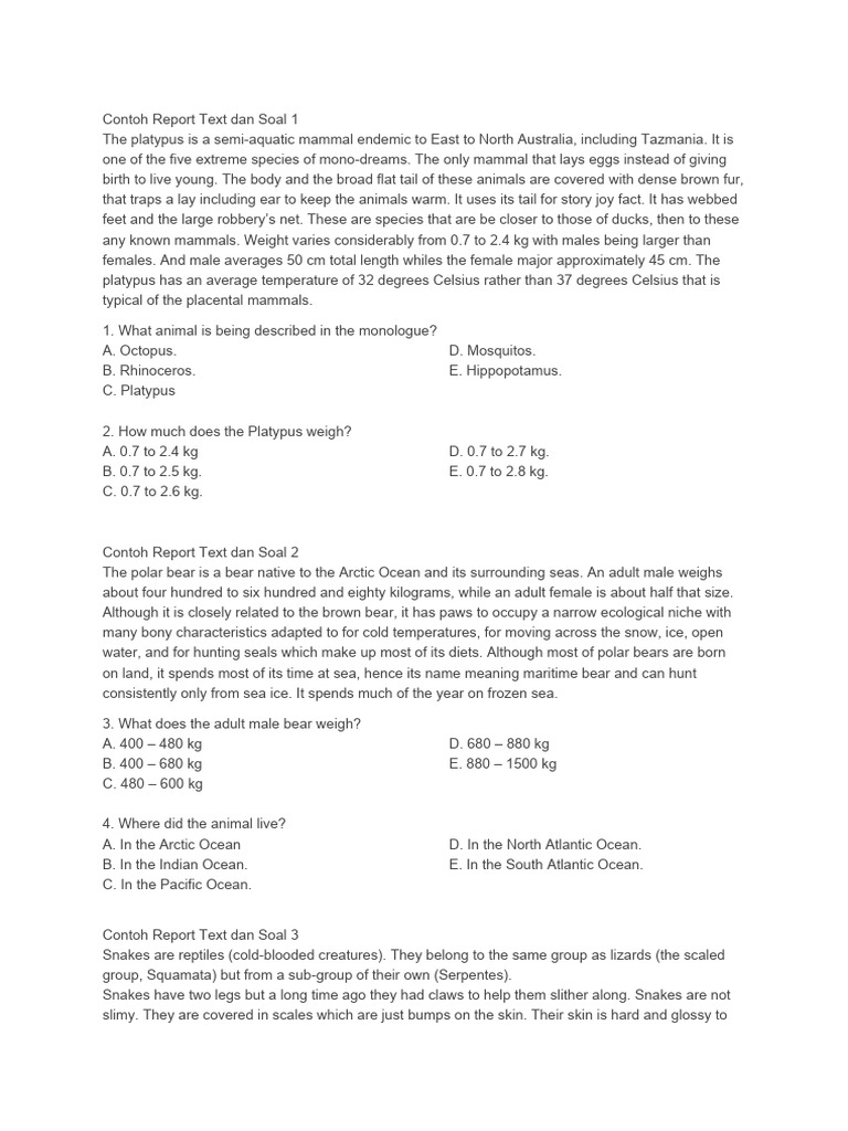 Report Text Assignment XII | PDF