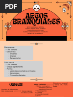 Patología de Arcos Branquiales en Niños | PDF | Cabeza y cuello humanos ...