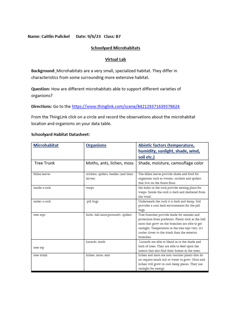 Exploring Schoolyard Microhabitats | PDF