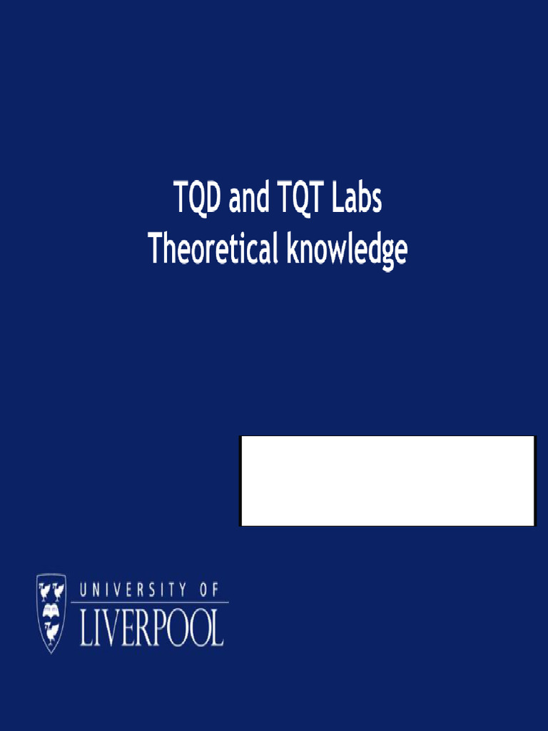 LAb TQD - Displacement and Stress | PDF