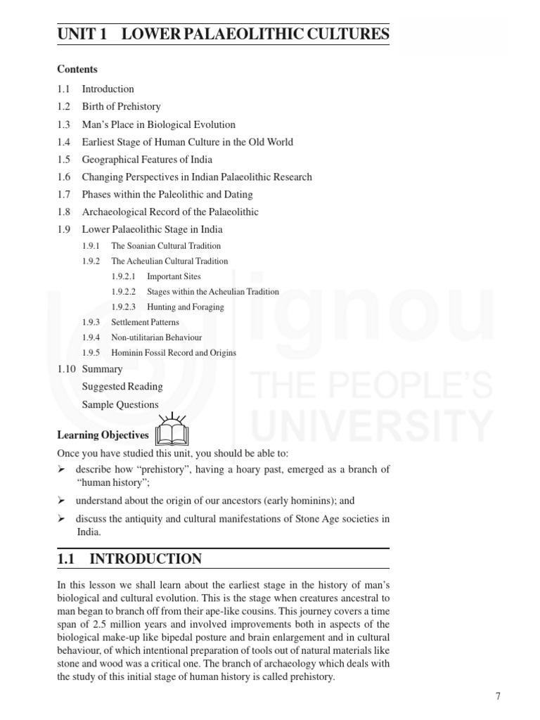 Lower Palaeolithic Cultures Overview | PDF | History | Religion ...