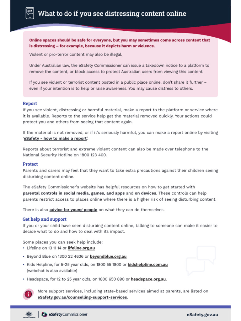 Reporting Distressing Online Content | PDF