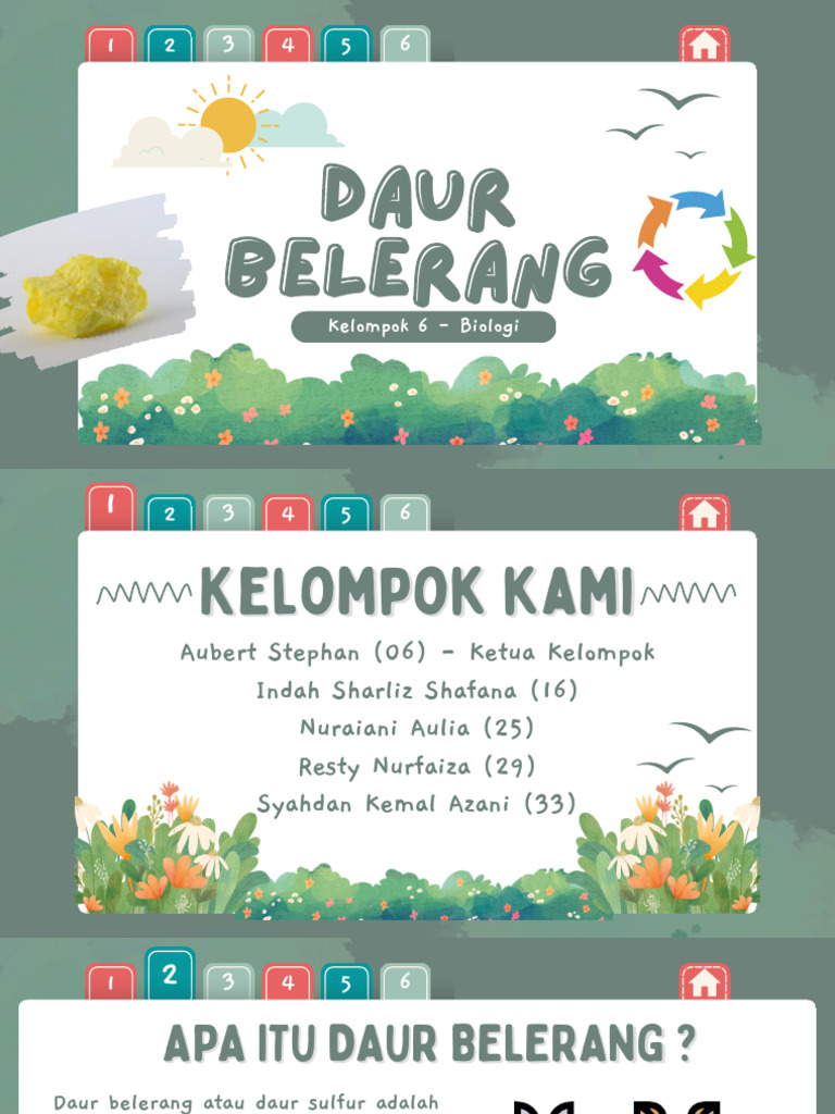 Kel 6 Bio - Daun Belerang Kelas X | PDF | Kesehatan Holistik | Sains & Matematika