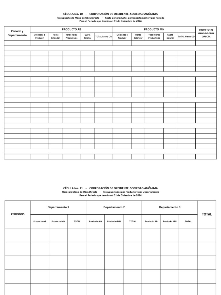 Formatos C10 C11-1 | PDF
