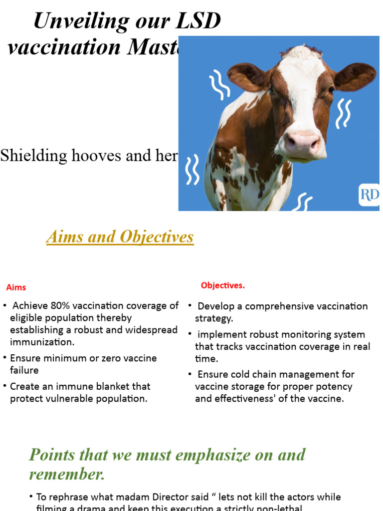 LSD Implementation Plan | PDF