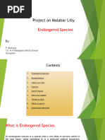 Story of Sibi Chakravarthy | PDF