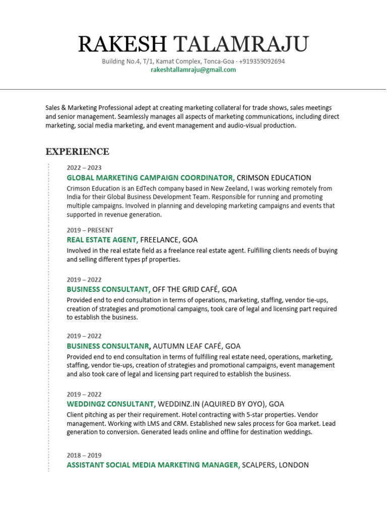 Rakesh CV 23 | PDF | Digital Marketing | Popular Culture & Media Studies