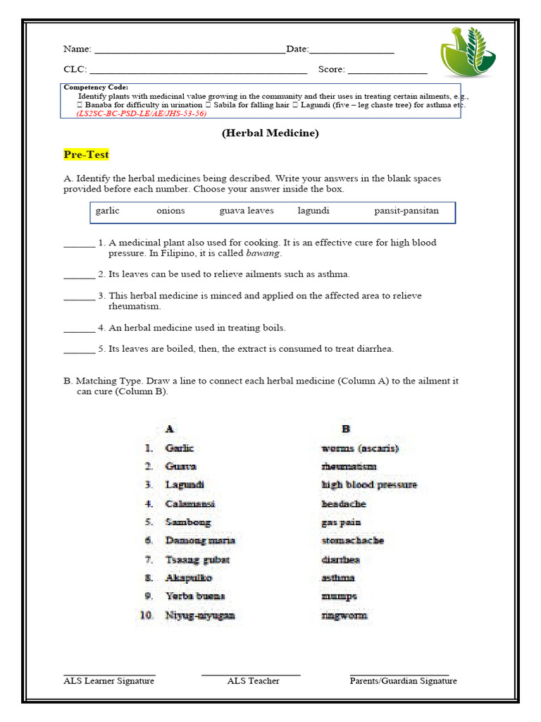 LS2 - Herbal Medicine - Worksheets | PDF | Food And Drink | Medicine