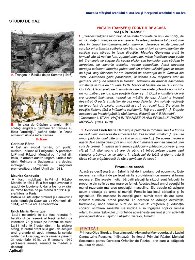 Studiu de Caz 2 Viata in Transee Si Frontul de Acasa 1 | PDF