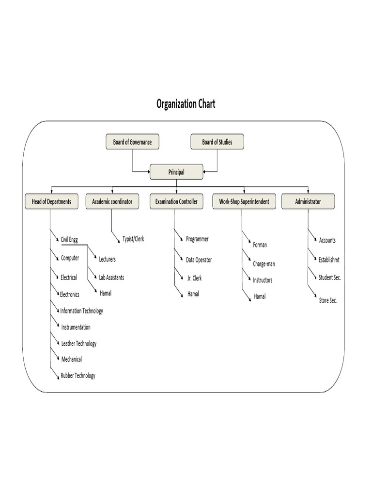 Academic Organization Chart Overview | PDF