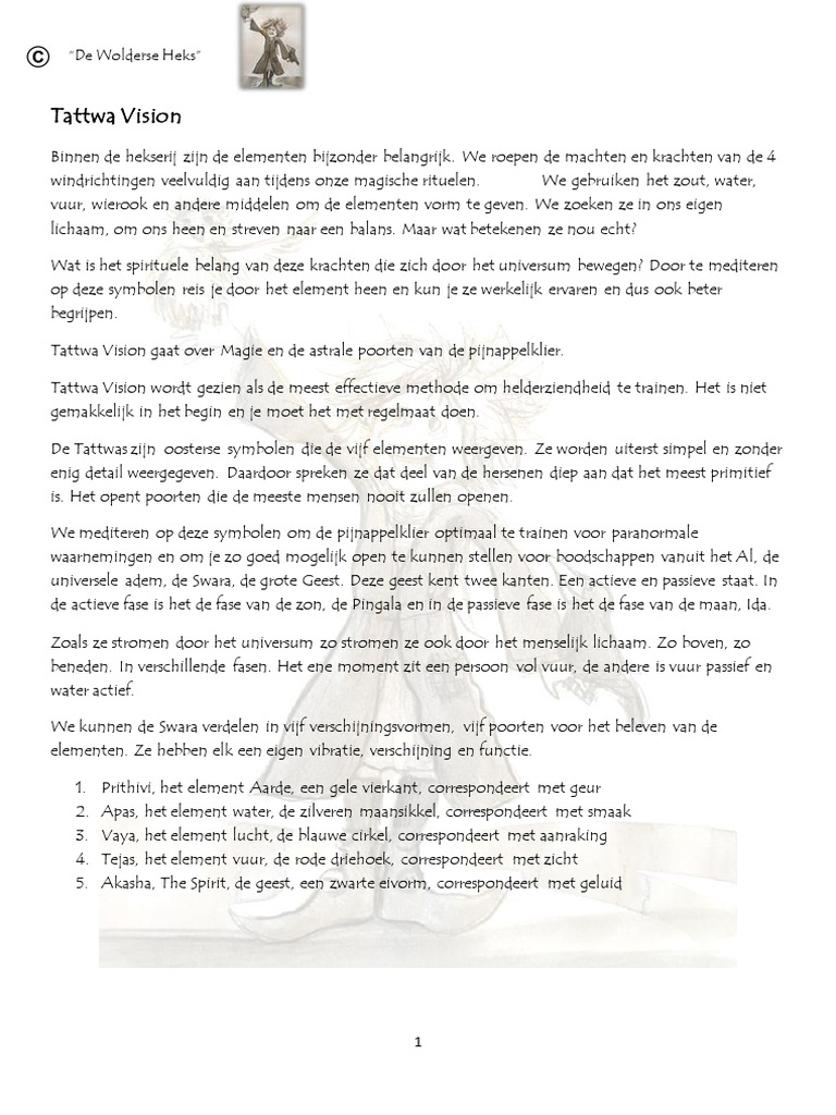 Tattwa Vision User Guide | PDF