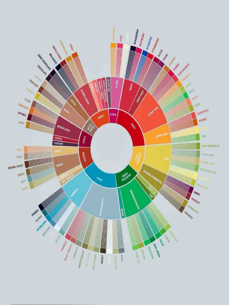 Coffee Taster's Flavor Wheel | PDF