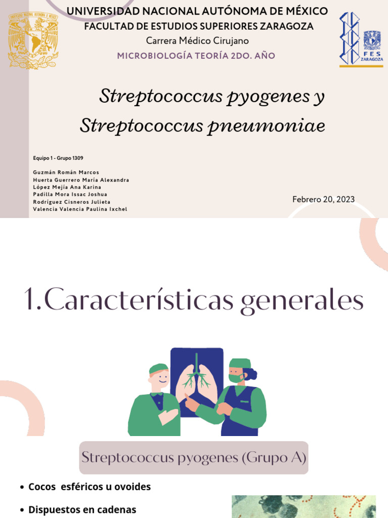 Streptococcus | PDF