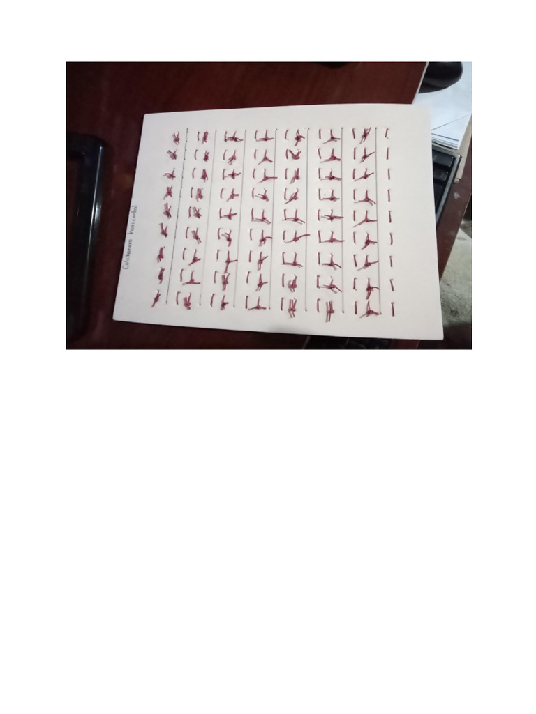 Colchonero Horizontal | PDF