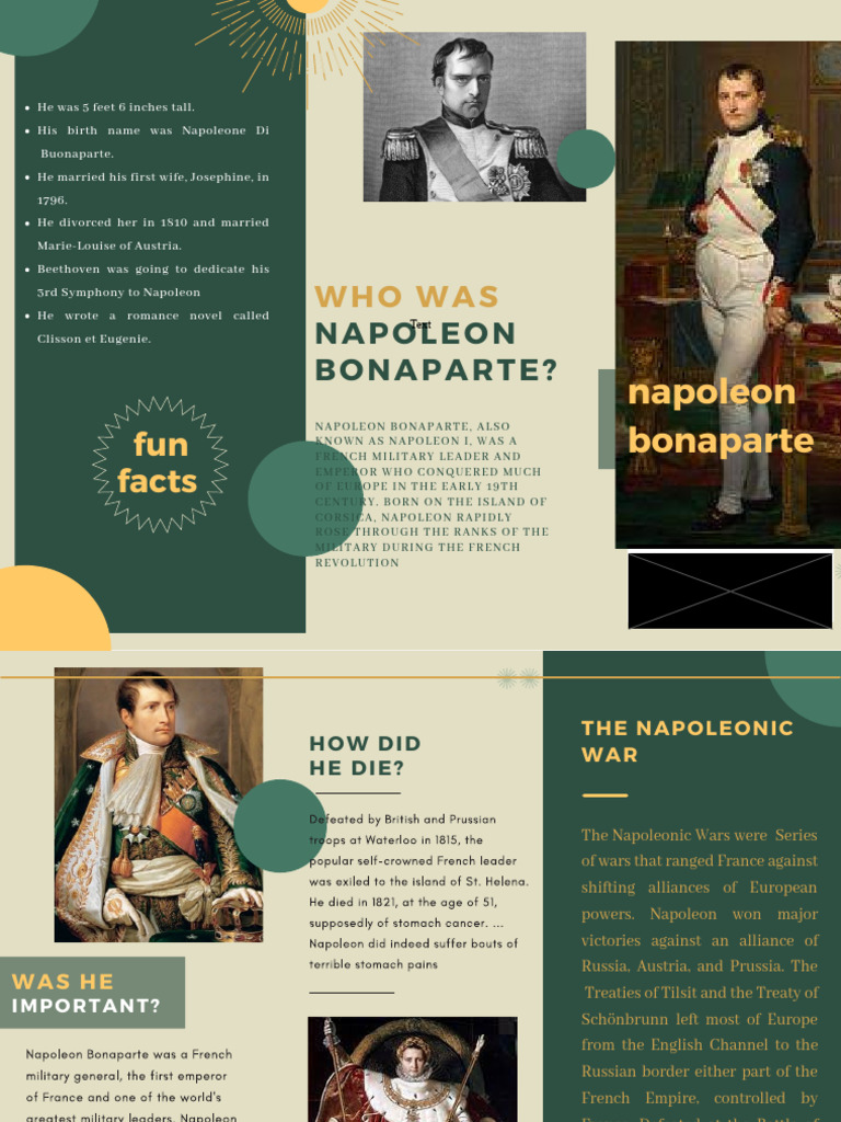 Napoleon Bonaparte Brochure | PDF | Art | History