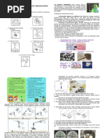 Astm E2149 | PDF | Colony Forming Unit | Antimicrobial