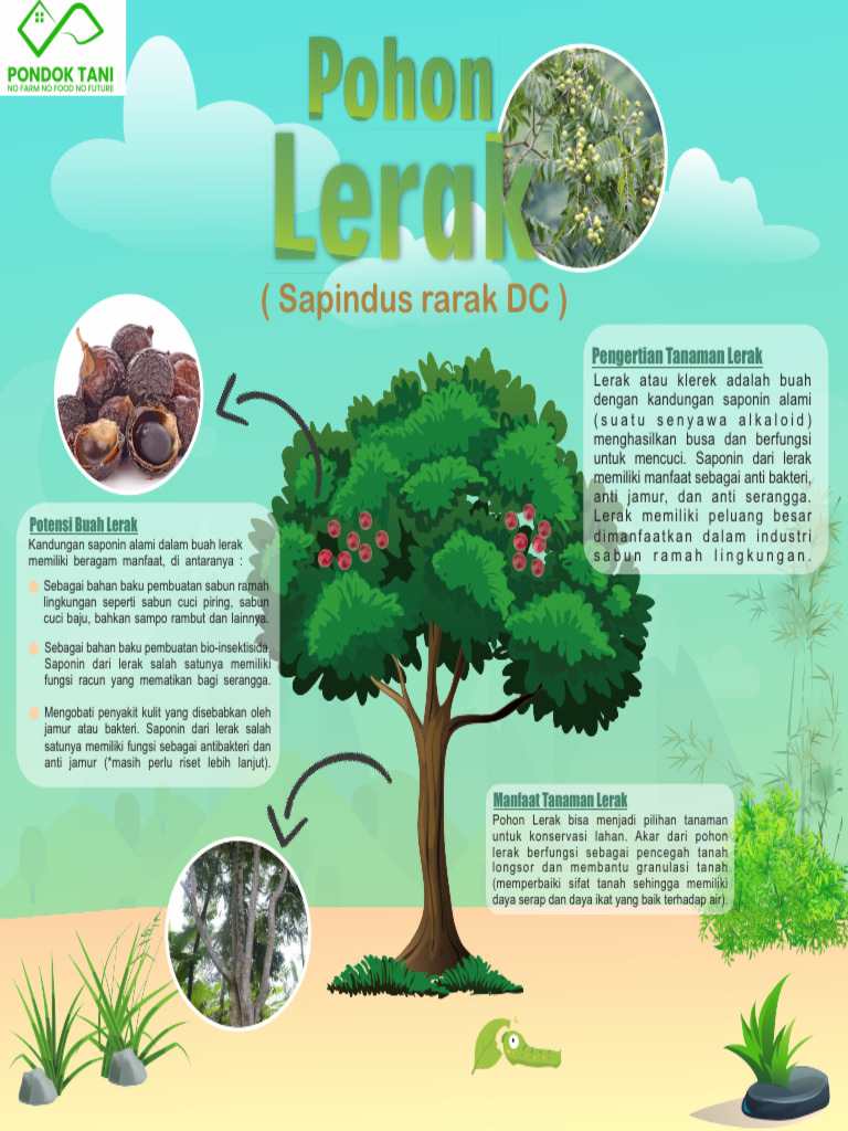 Poster Lerak | PDF
