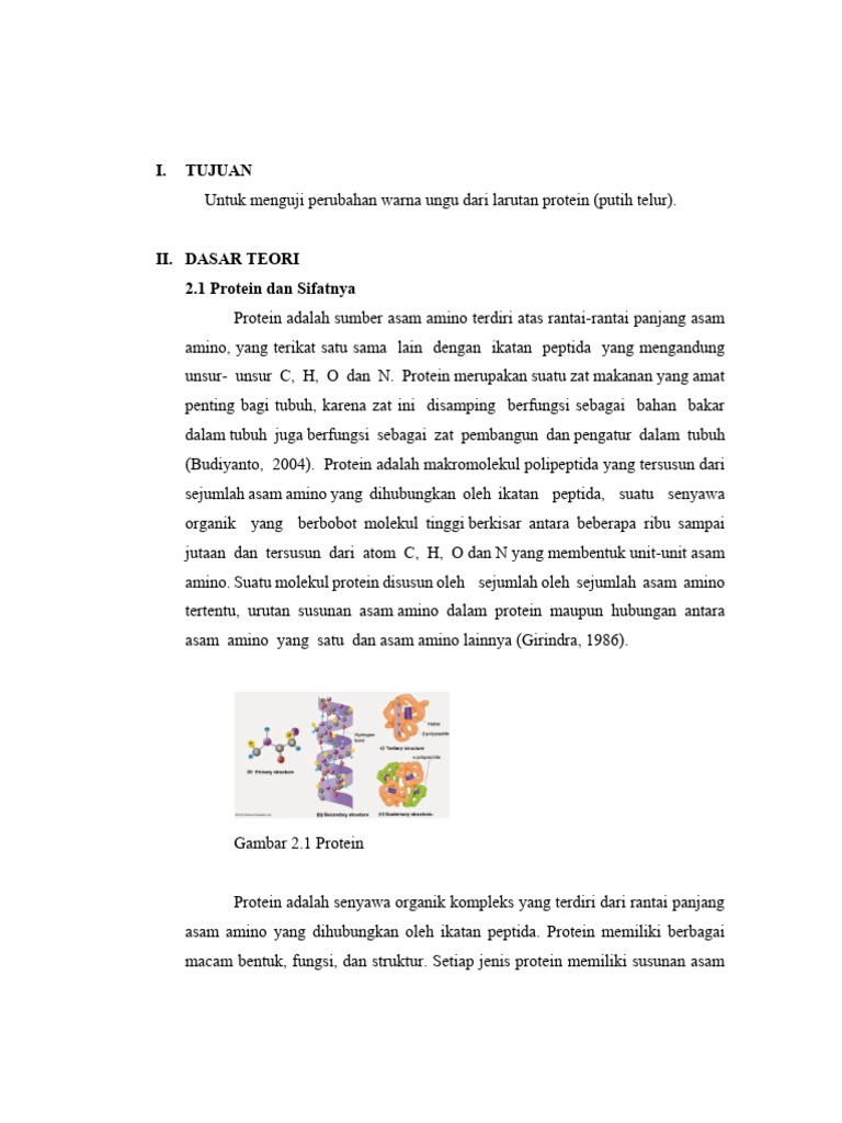 Laporan Praktikum Biokimia 4 Biuret | PDF | Kesehatan Holistik