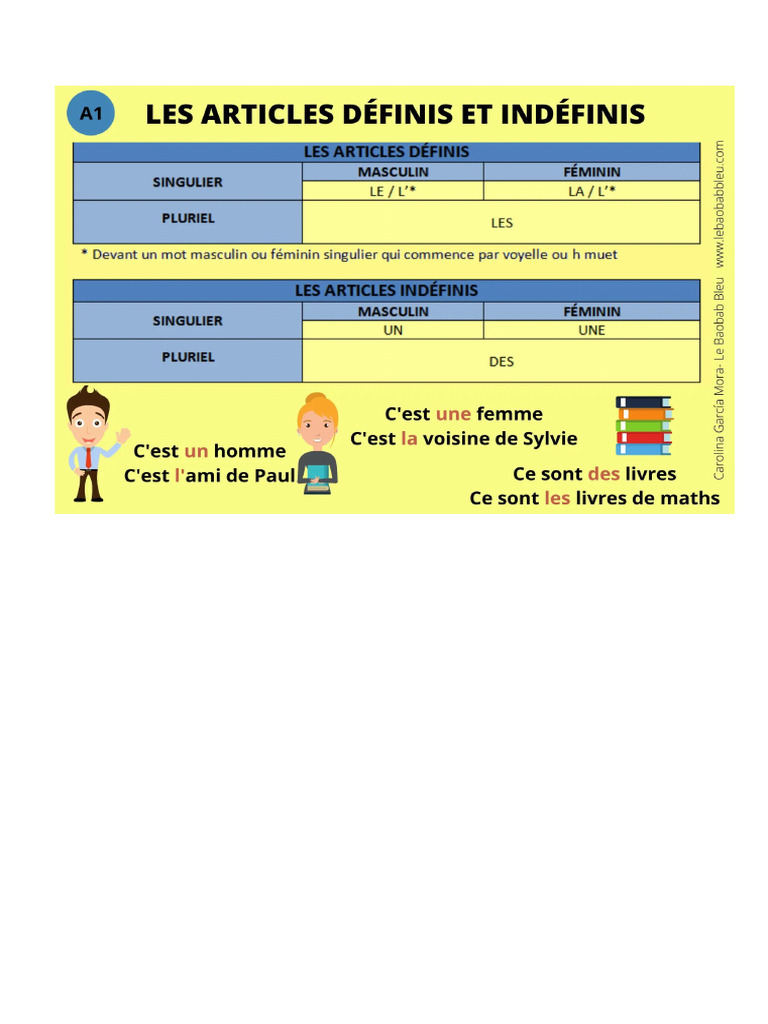 Exercices sur les articles en français | PDF