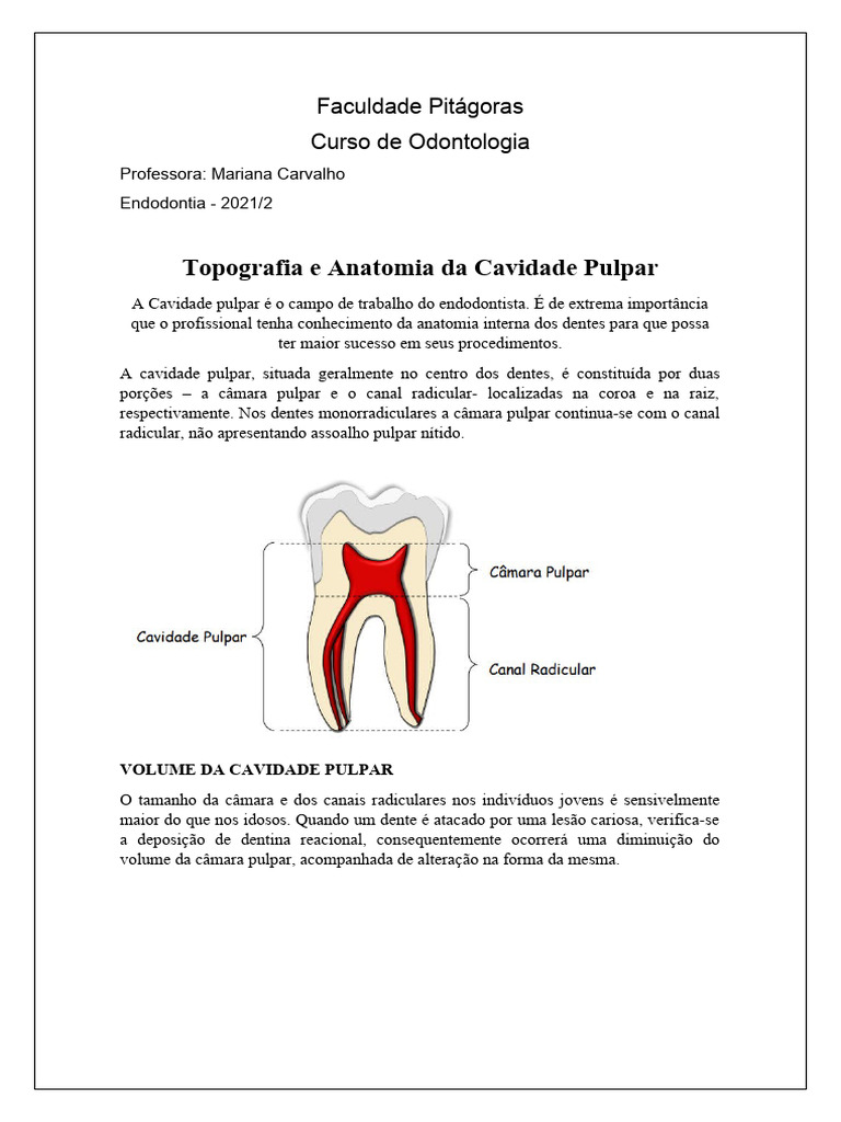 Anatomia Interna | PDF